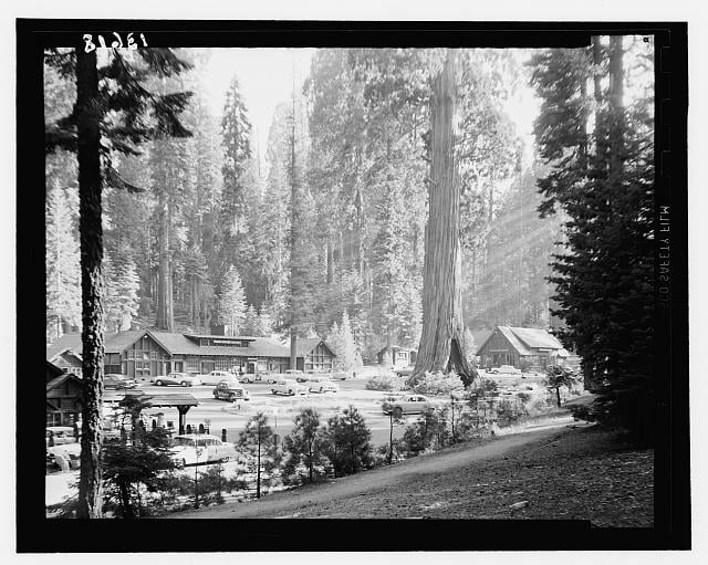 8x12 Photo: Sequoia National Park,California,CA,Giant Forest Village ...