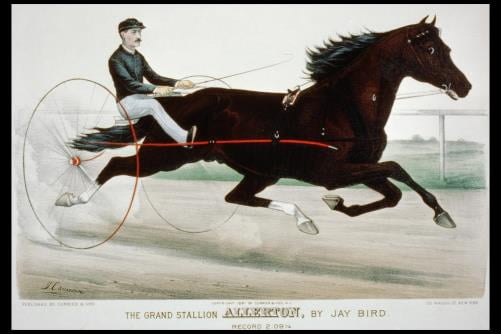 8x12 Photo: The grand stallion Allerton,by Jay Bird,c1891,Currier ...