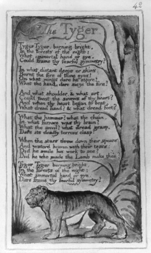 8x12 Photo: Tyger,Tyger,Illustrated Poem,Tree,Animal,Tiger,Poetry ...
