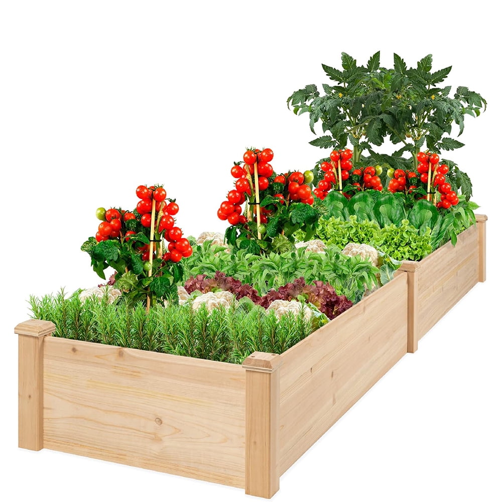 8x2ft Outdoor Wooden Raised Garden Bed Planter with middle divider and ...