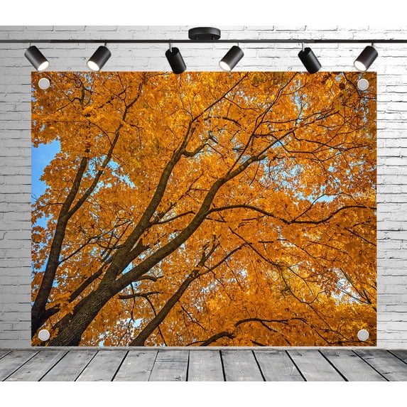 8x6ft Autumn Backdrop Golden Tree Canopy Photo Backdrop Photography ...