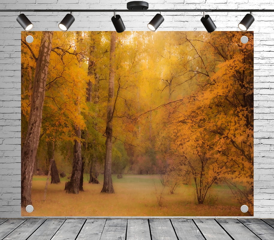 8x6ft Enchanting Autumn Forest Backdrop Photoshoot Photo Backdrop ...