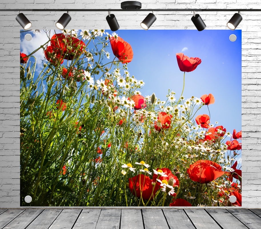 8x6ft Floral Backdrop Poppy and Daisy Flower Photo Backdrop Garden ...