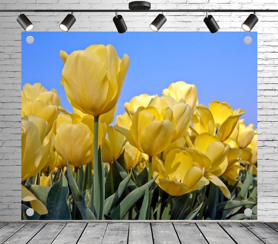 8x6ft Floral Backdrop Yellow Tulip Flower Field Photo Backdrop Garden ...