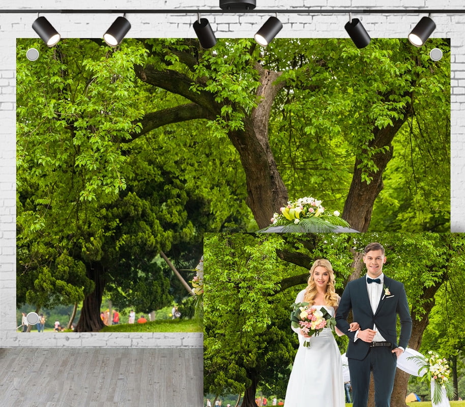 8x6ft Outdoor Lawn Wedding Backdrop Tall Trees Archways With White ...
