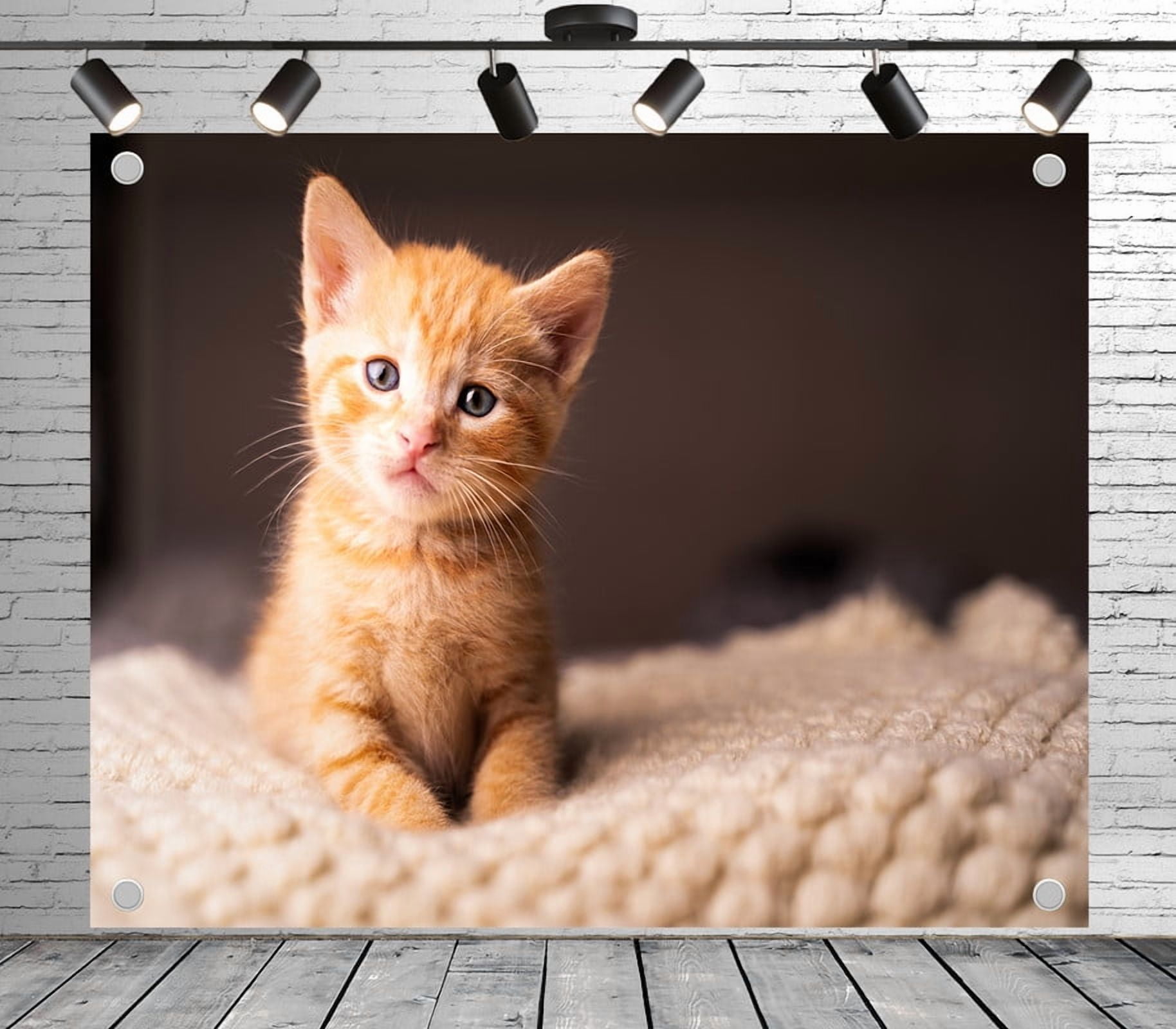 8x6ft Patterned Backdrop Cute Kitten Photo Backdrop Decoration Banner ...