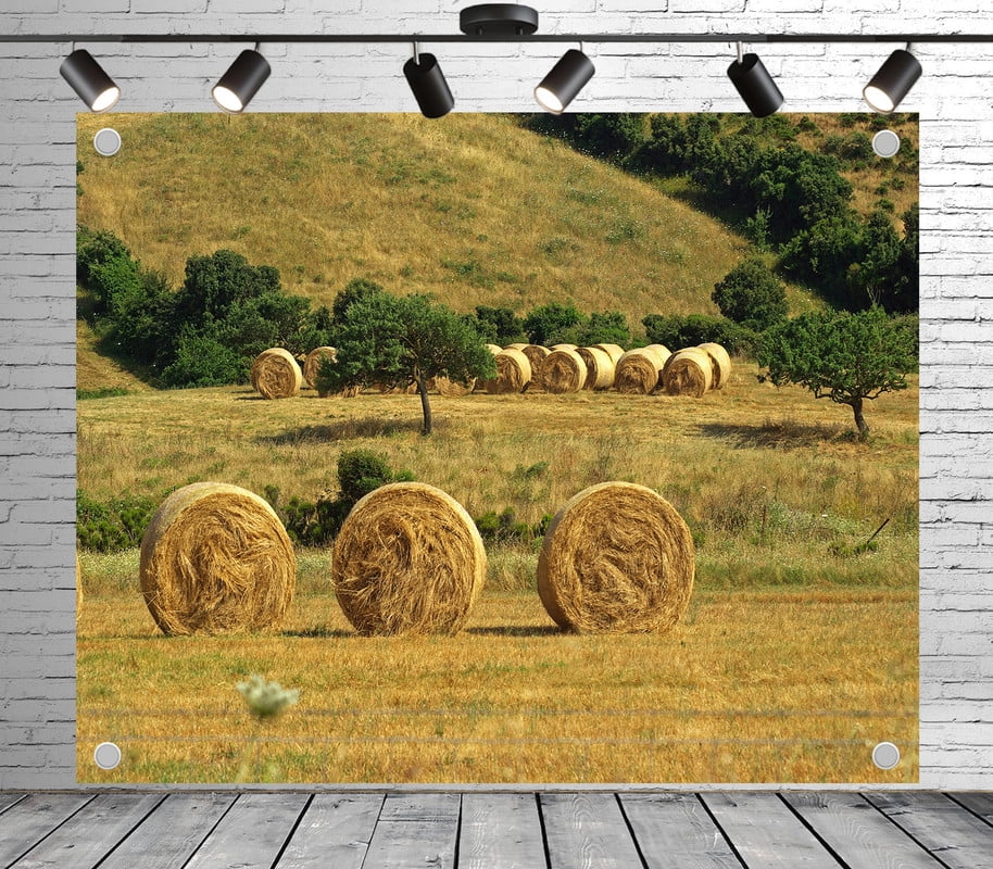 8x6ft Rustic Backdrop Field with Hay Bales Photo Backdrop Grass ...