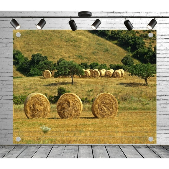 8x6ft Rustic Backdrop Field with Hay Bales Photo Backdrop Grass ...
