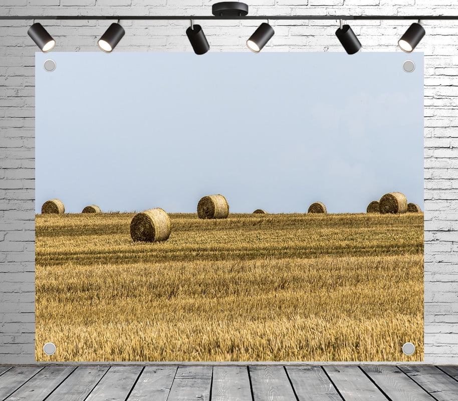 8x6ft Rustic Backdrop Straw Bales and Golden Crop Photo Backdrop ...