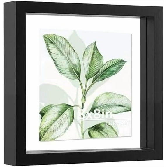 8x8 Floating Picture Frame,Double Plexglass Floating Frame for 6x6,4x4 ...