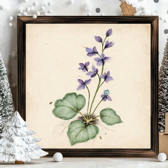 8x8 Inch Framed Wood Wall Art Square Botanical Illustration of Purple ...