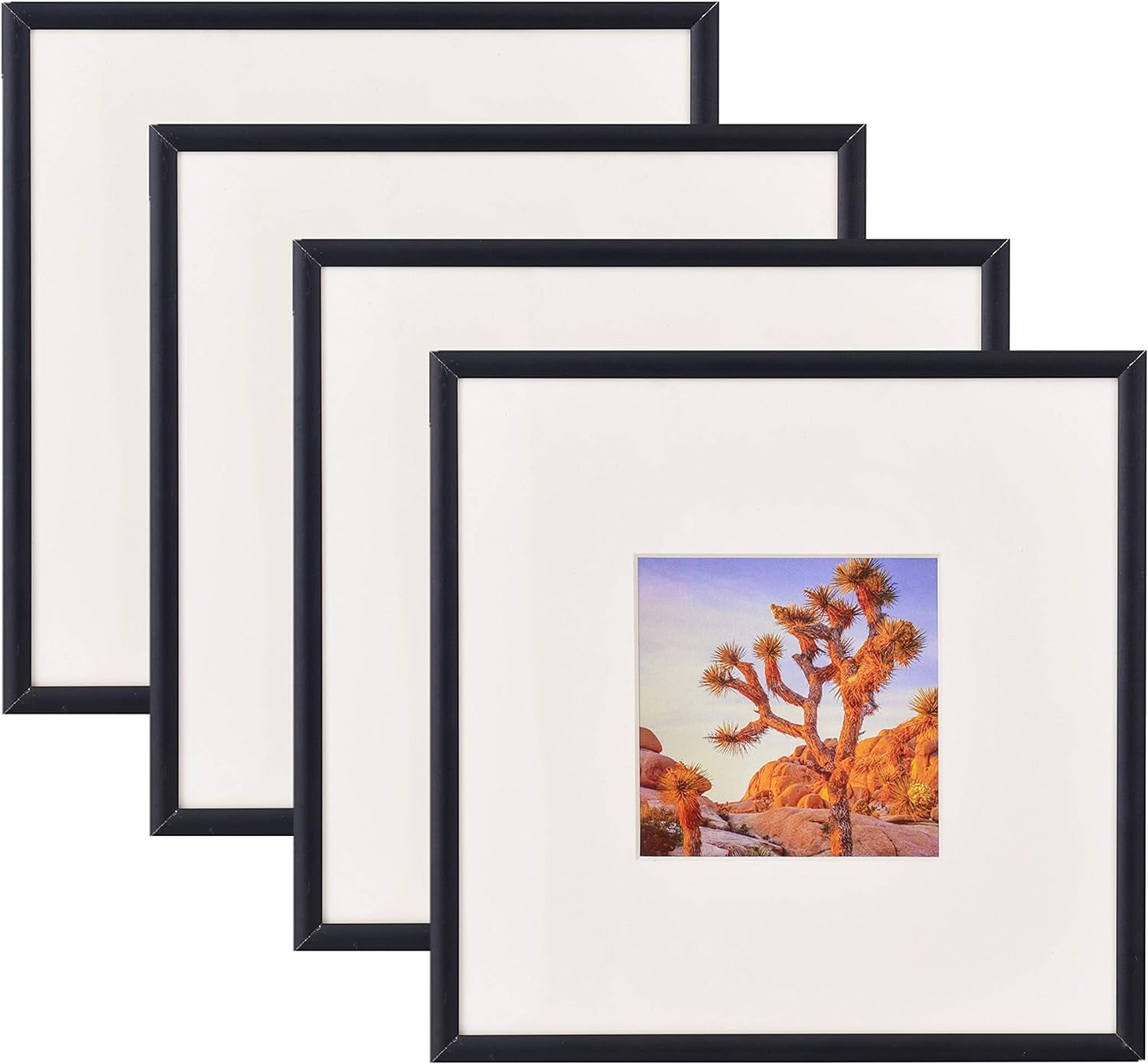 8x8 Picture Frame in Black - Displays 4x4 With Mat and 8x8 Without Mat ...