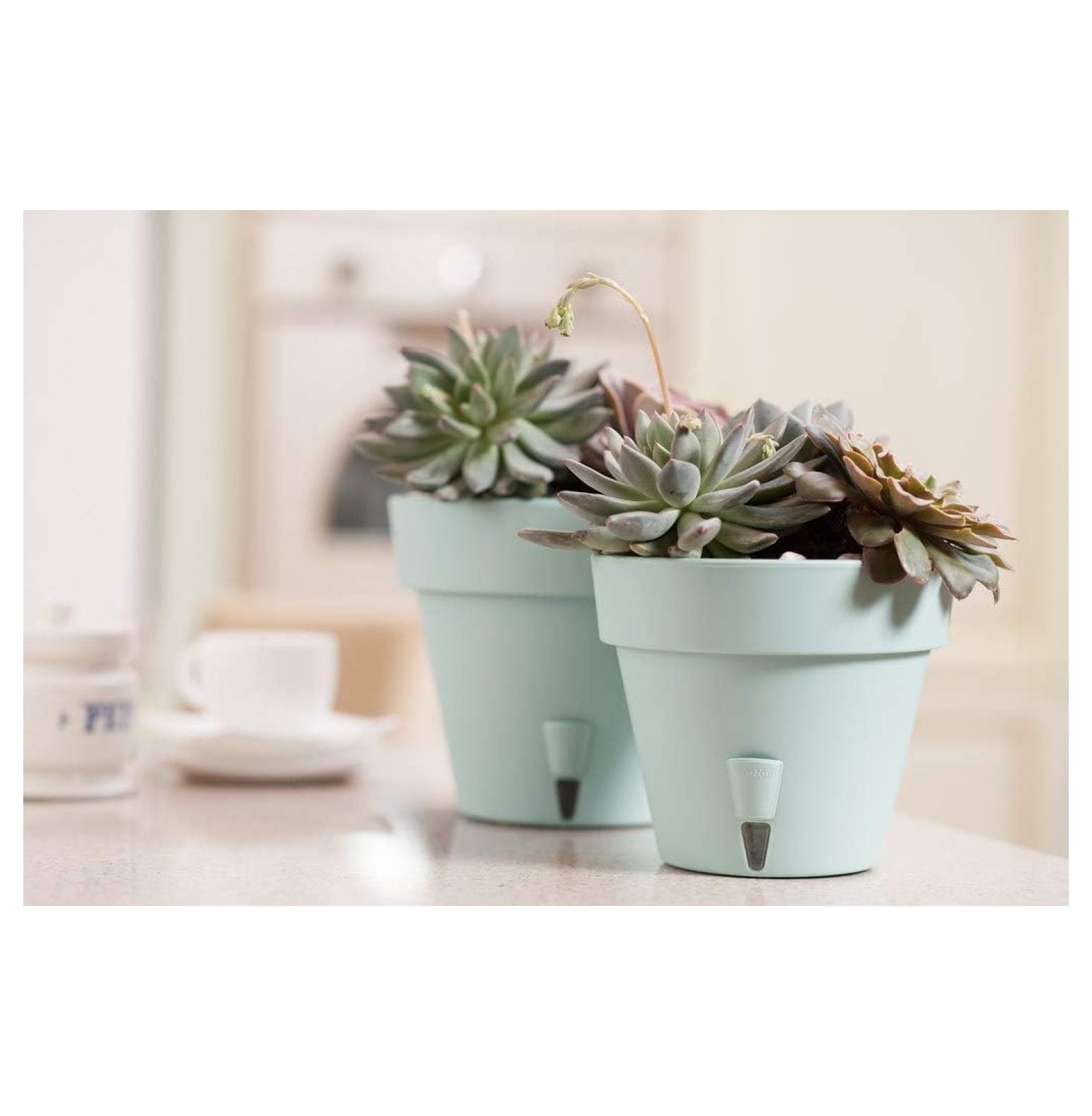 9.2 Inch Latina Self Watering Planters (Set of 3) in Cream - Flower Pot ...