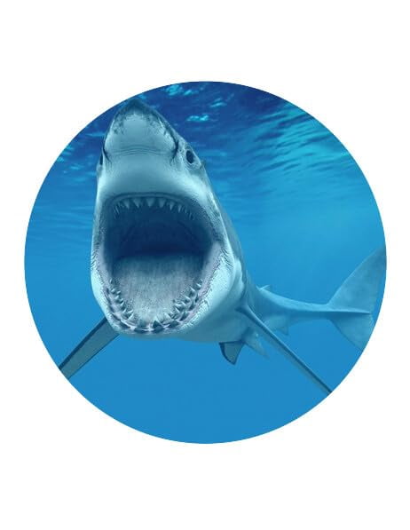9.5" Round Shark Attack Birthday Edible Image Cake Topper By TNCT ...