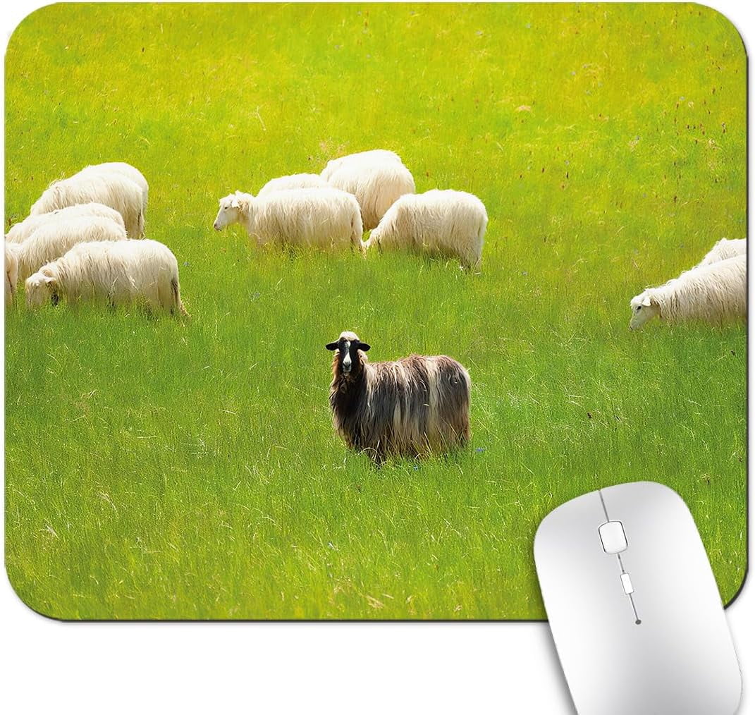 9.5"x 7.9" Anti-Slip Office/Gaming Mouse Pad - Black Sheep Between ...