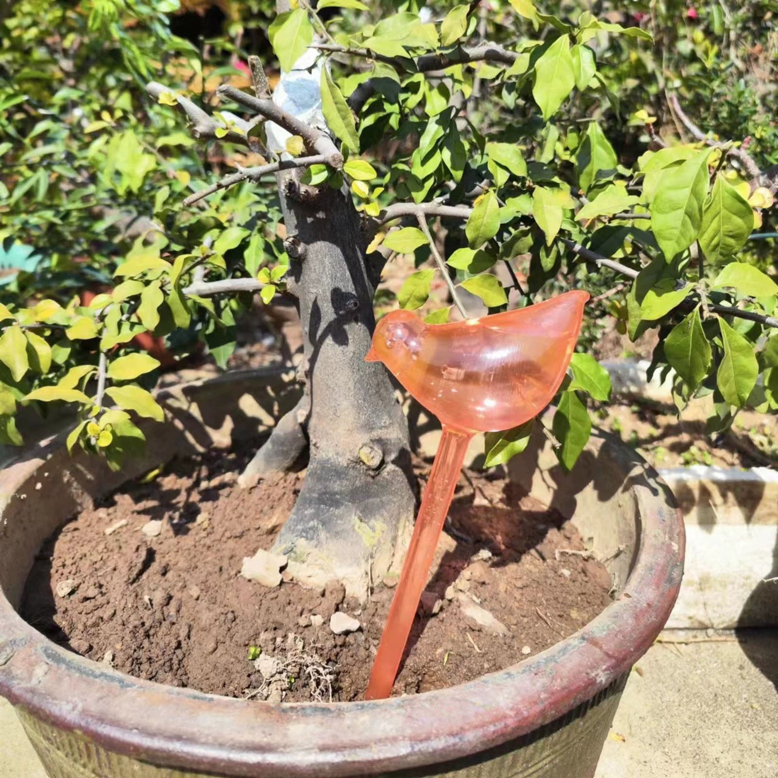 9.8 Inch Pink Bird Shaped Watering Globes Automatic Waterer for Indoor ...