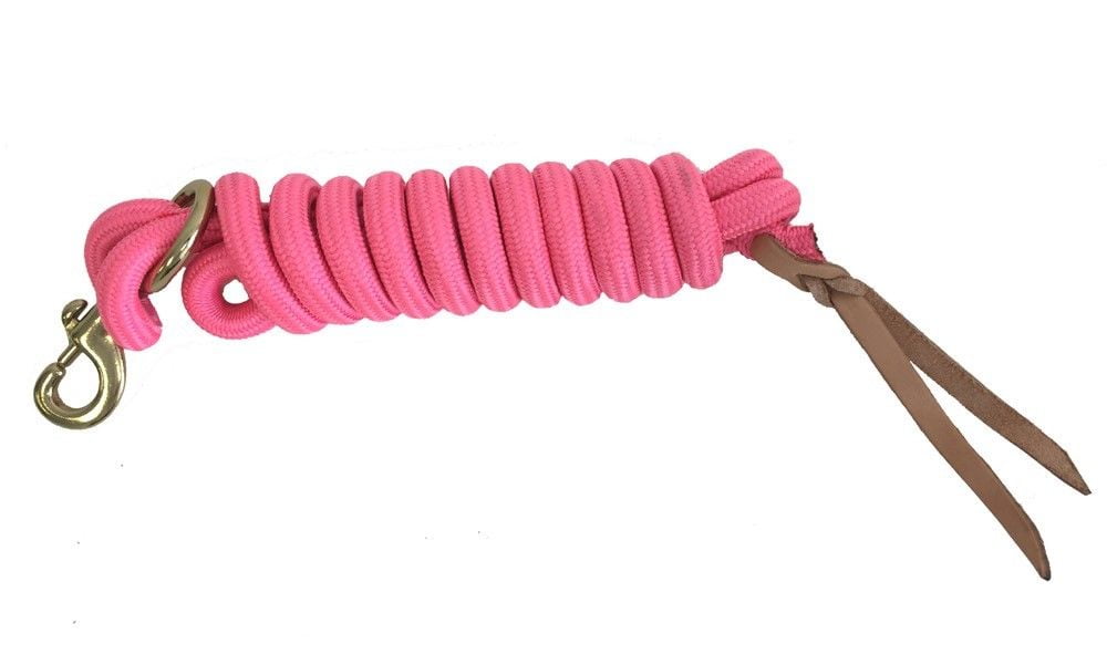 9 Foot Nylon Lead Rope with Leather Popper Hot Pink - Walmart.com