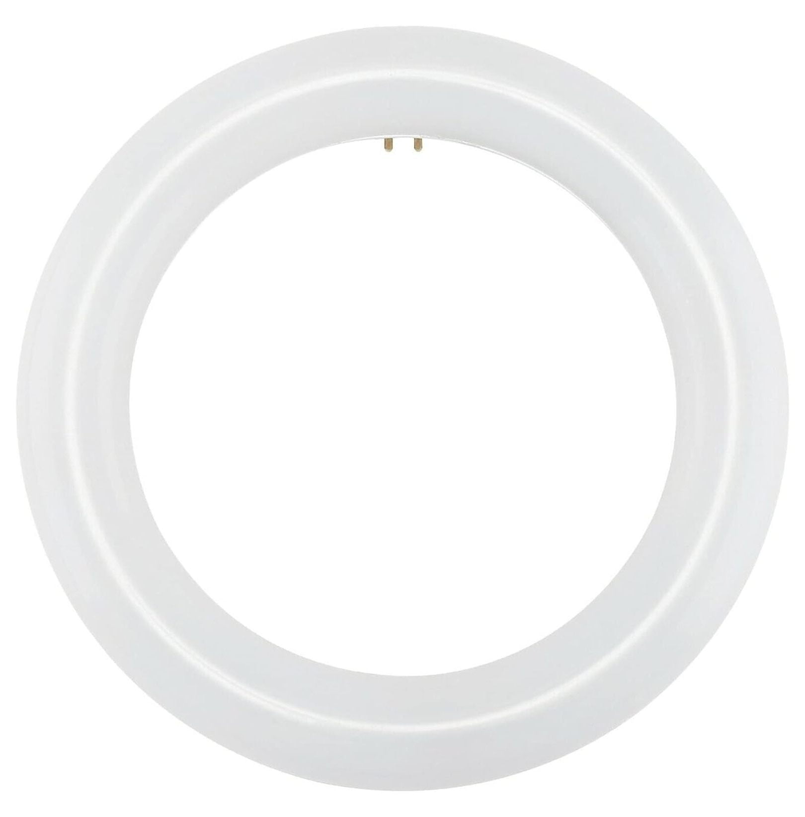9 Inch/ 9" Plug & Play T9 Circline LED Lamp - Cool White (4100K ...