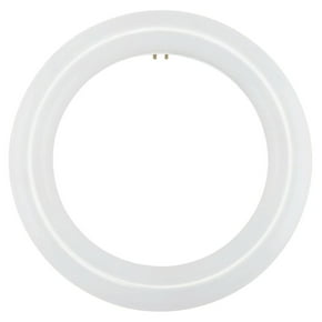 Circular Light Bulbs