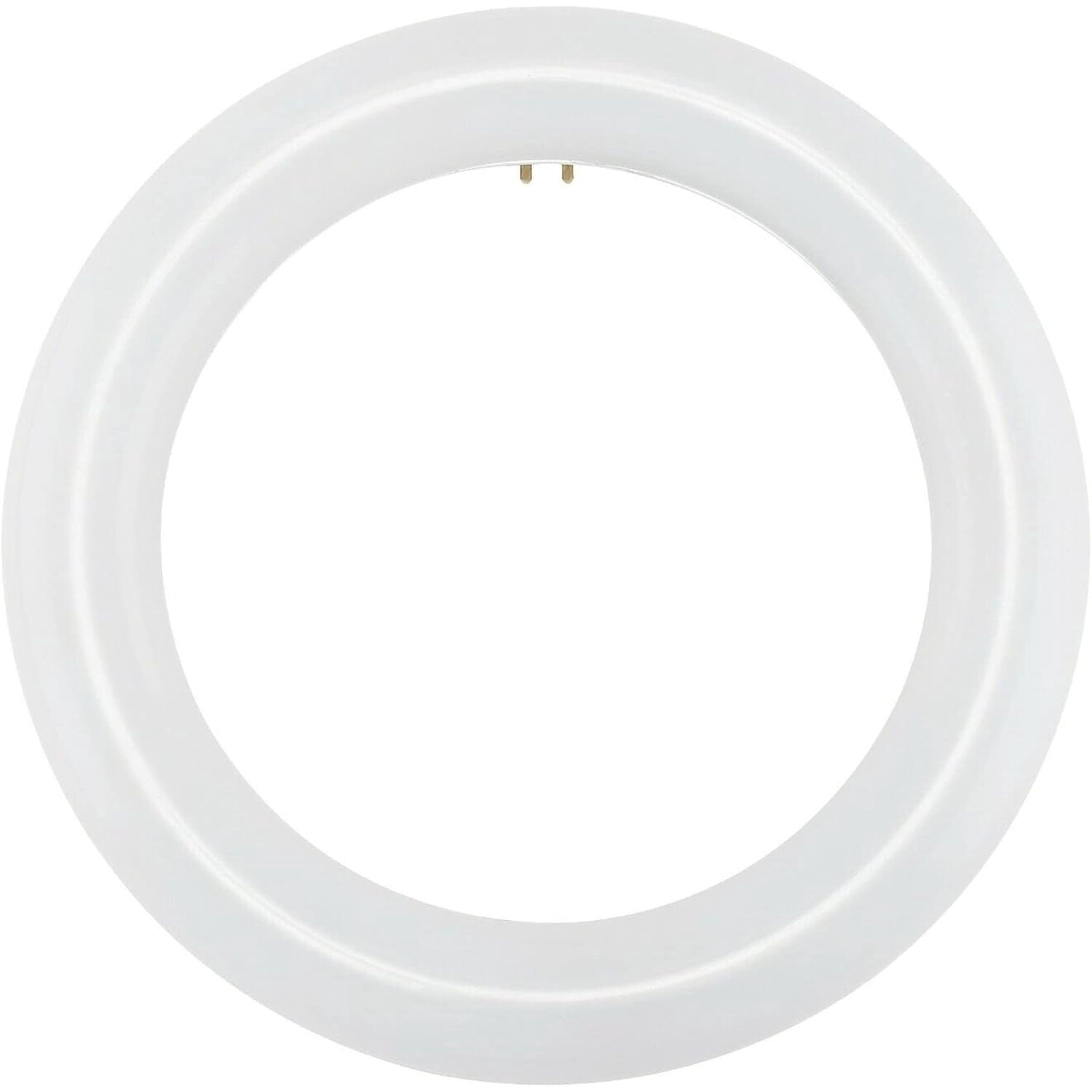 9 Inch/ 9" Plug & Play T9 Circline LED Lamp - Daylight (6000K) Circular ...