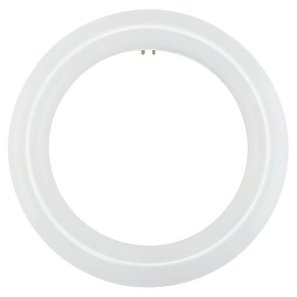 Circular Light Bulbs