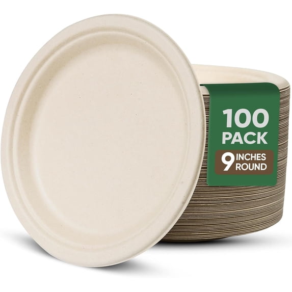9 Inch Compostable Paper Plates, 100 Pack - Eco-Friendly Disposable ...