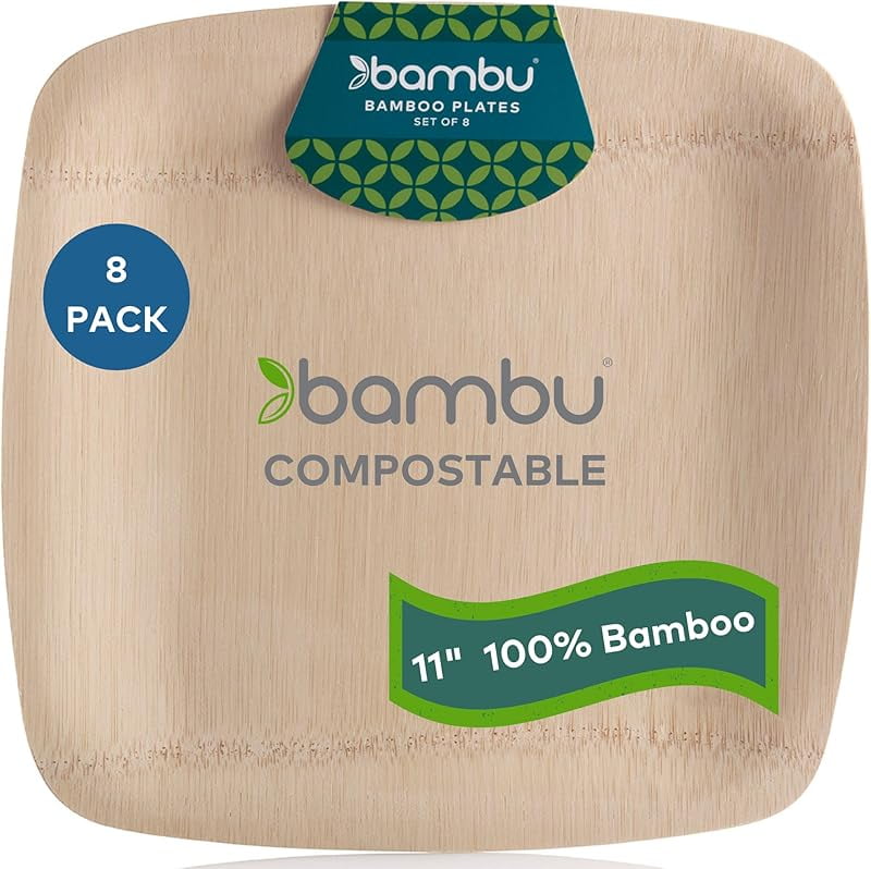 9 Inch Disposable Bamboo Plates Square, Biodegradable Eco Friendly ...