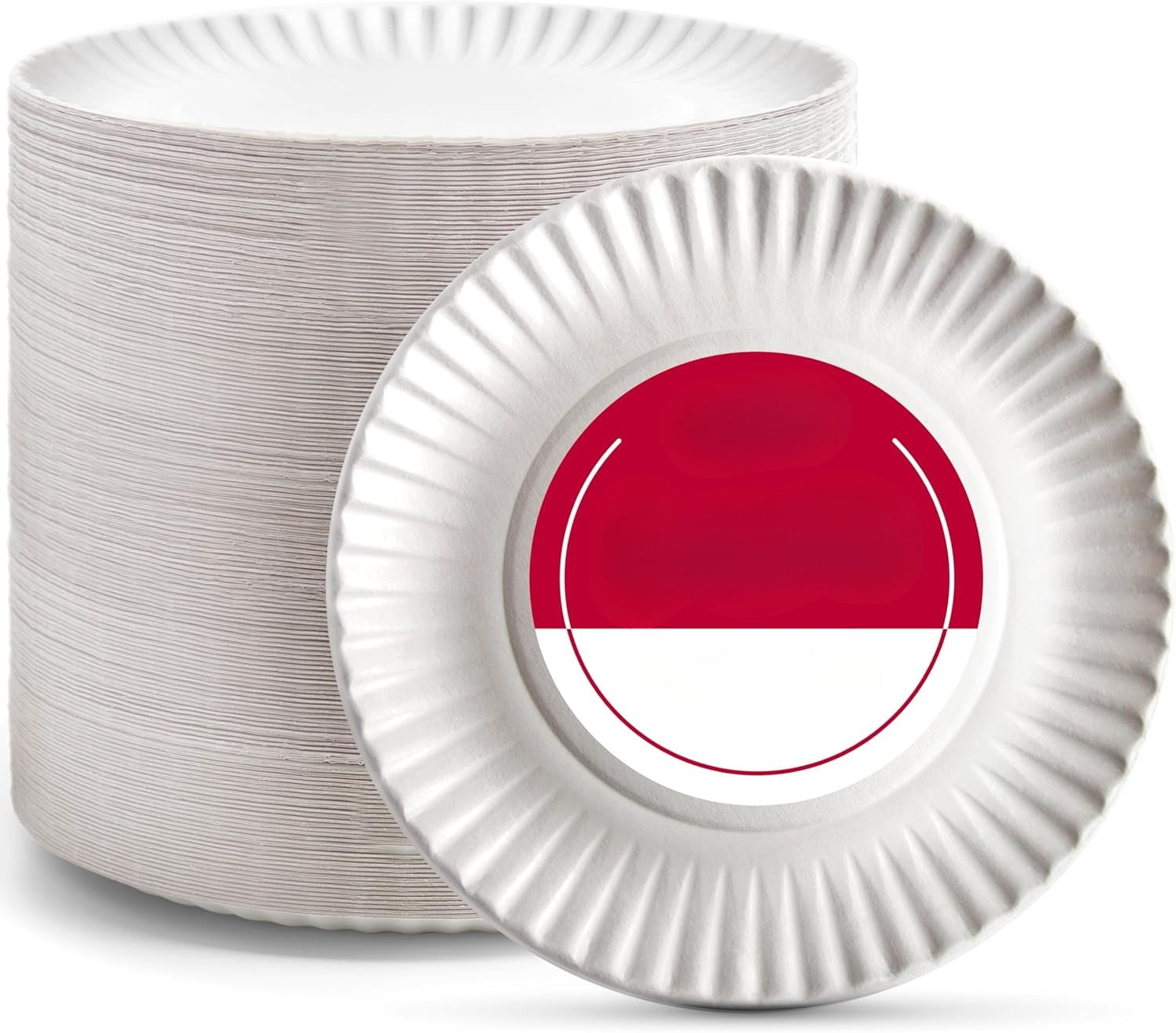 9-Inch Disposable Paper Plates - 500 Count - Bulk Pack of Uncoated ...