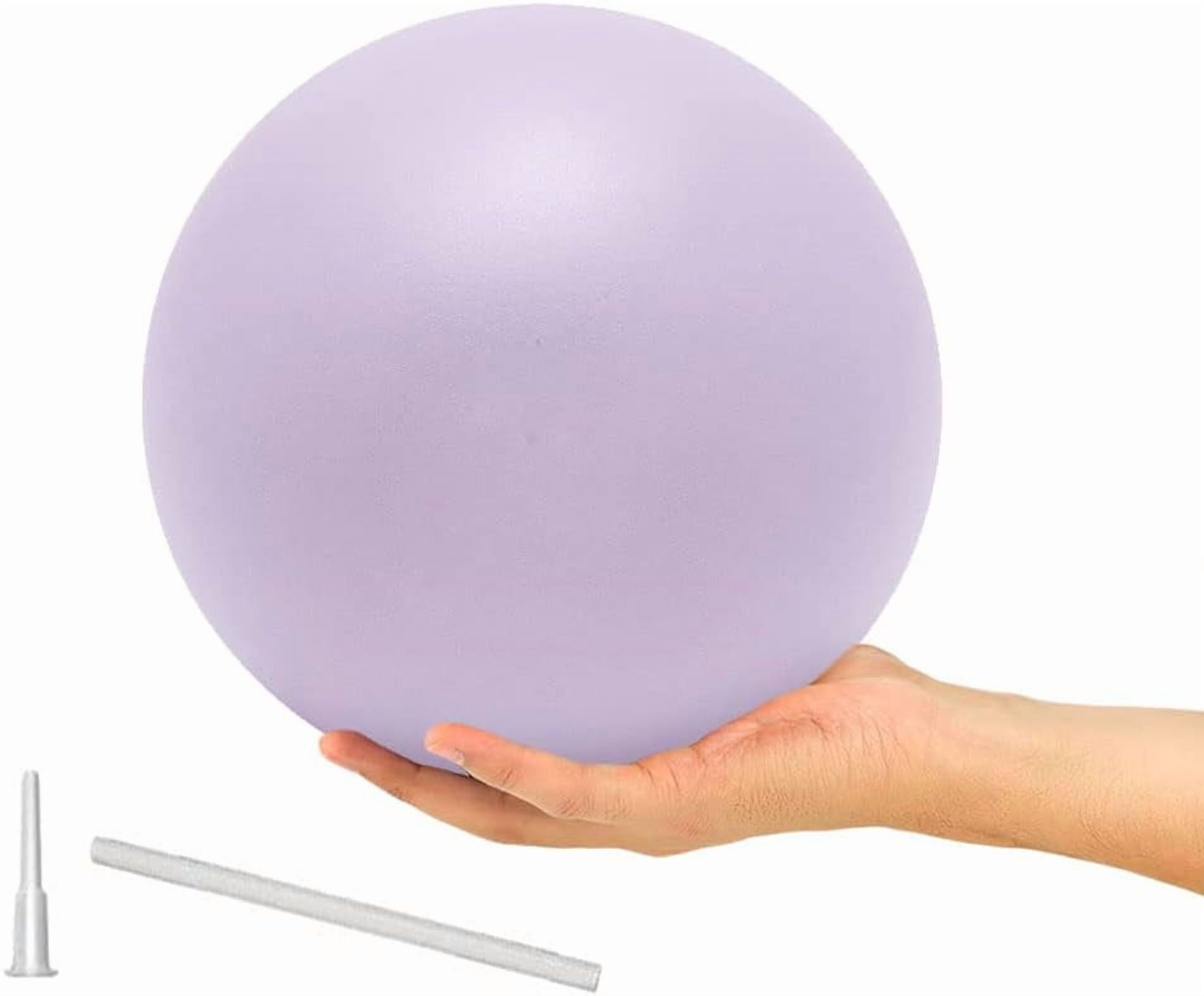 9 Inch Exercise Pilates Ball Mini Exercise Barre Ball for Yoga ...