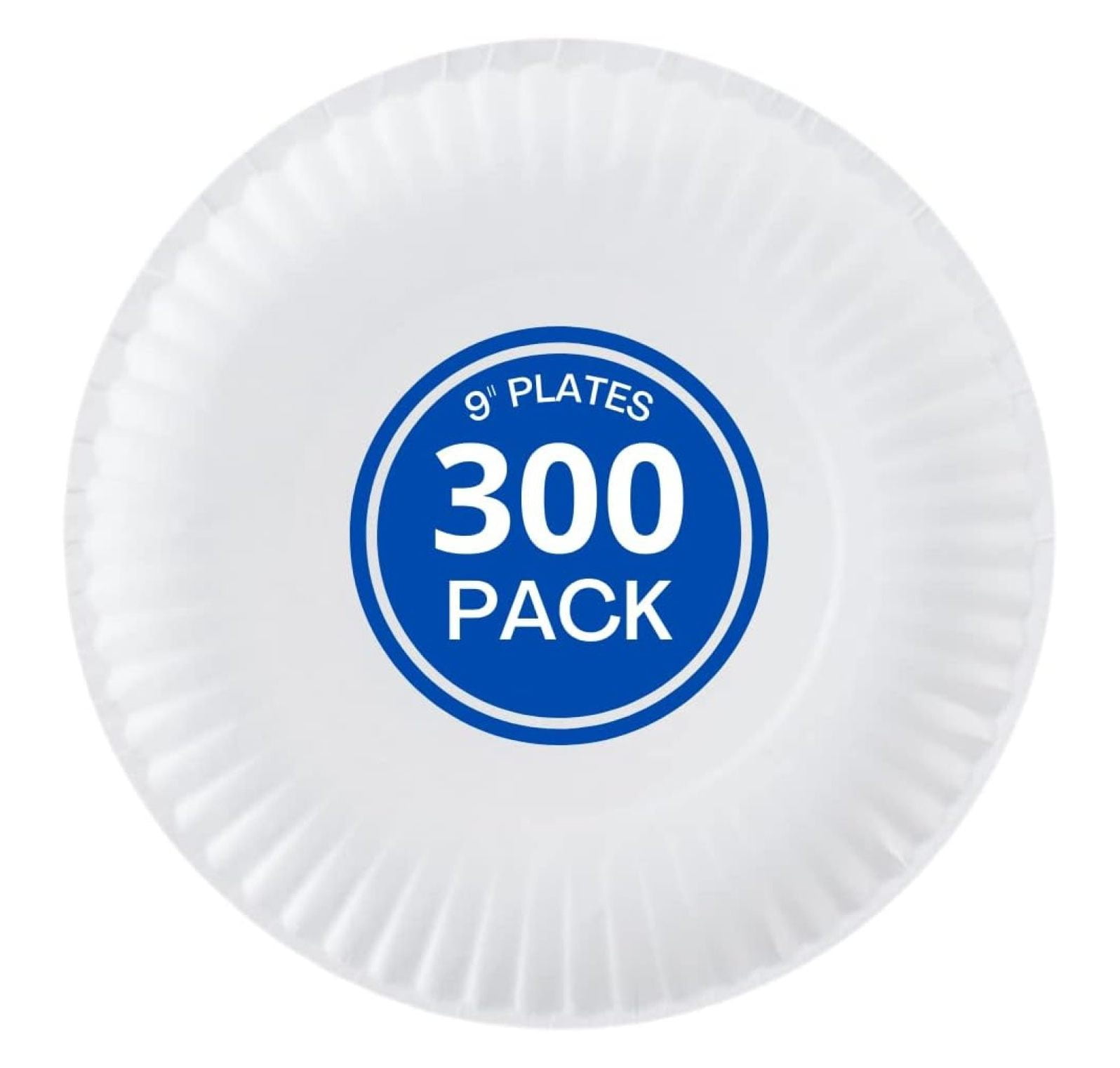 9 Inch Uncoated Paper Plates by CHNRED for Everyday Use, Restaurants ...