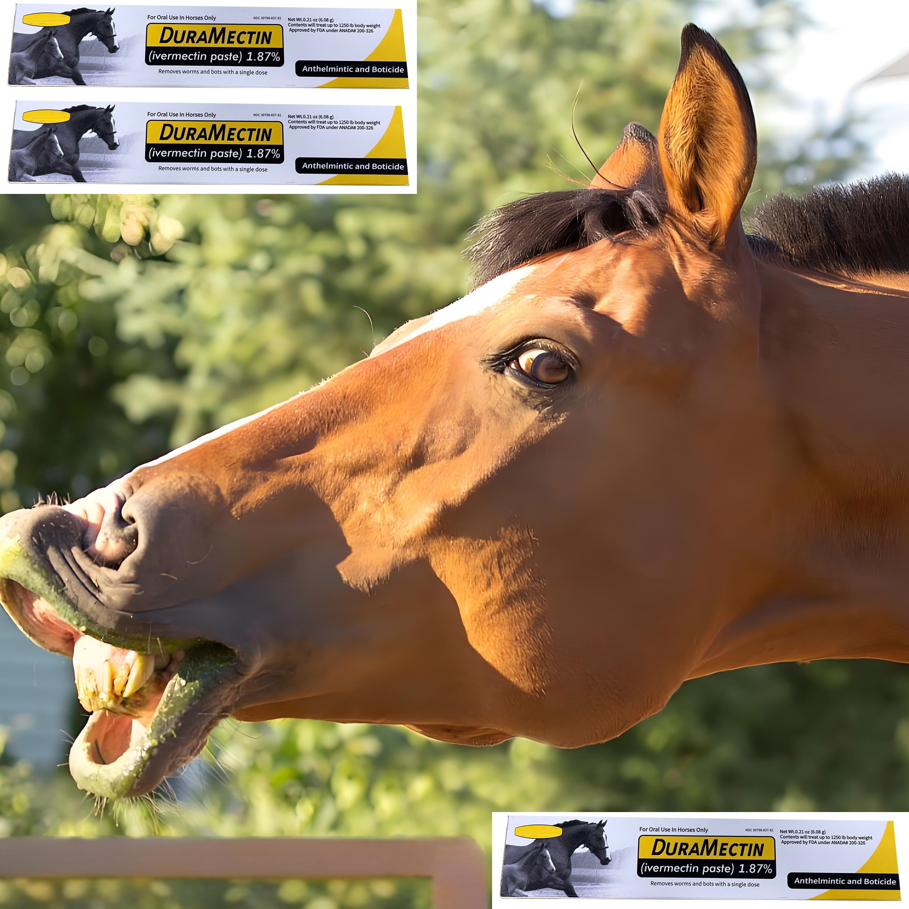 9 Pack of Paste, 0.21 Ounces each, Flavored Horse Dewormer control of ...