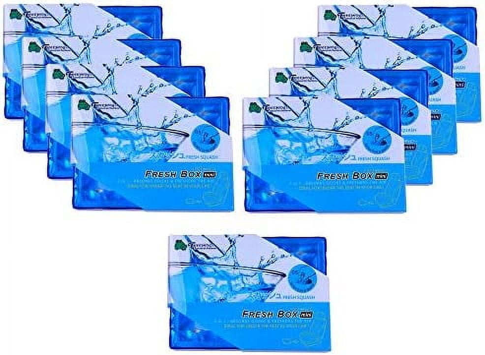 9 Packs (aka Xtreme Fresh ) Fresh Squash Scent Premium JDM Air ...