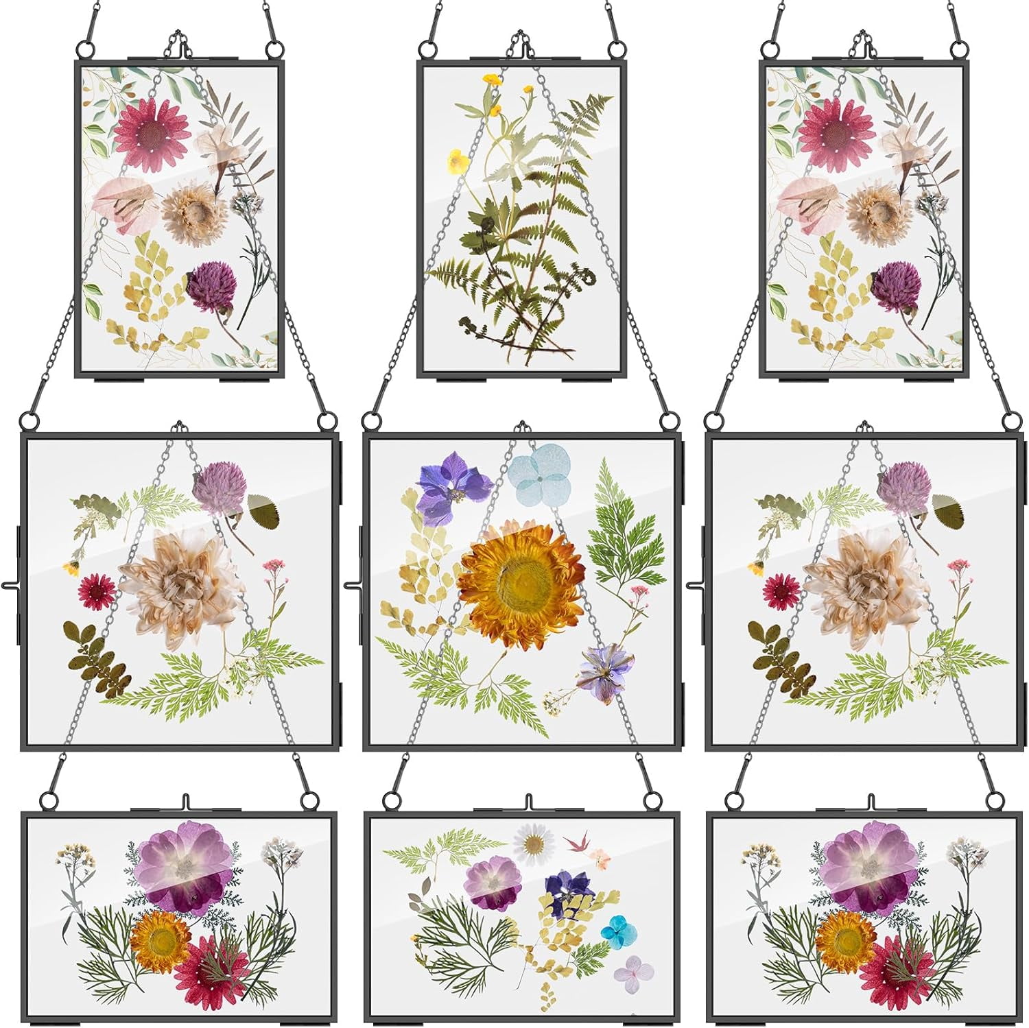 9 Pcs Glass Frame for Pressed Flowers 6x4 4x6 6x6 in Black Hanging ...