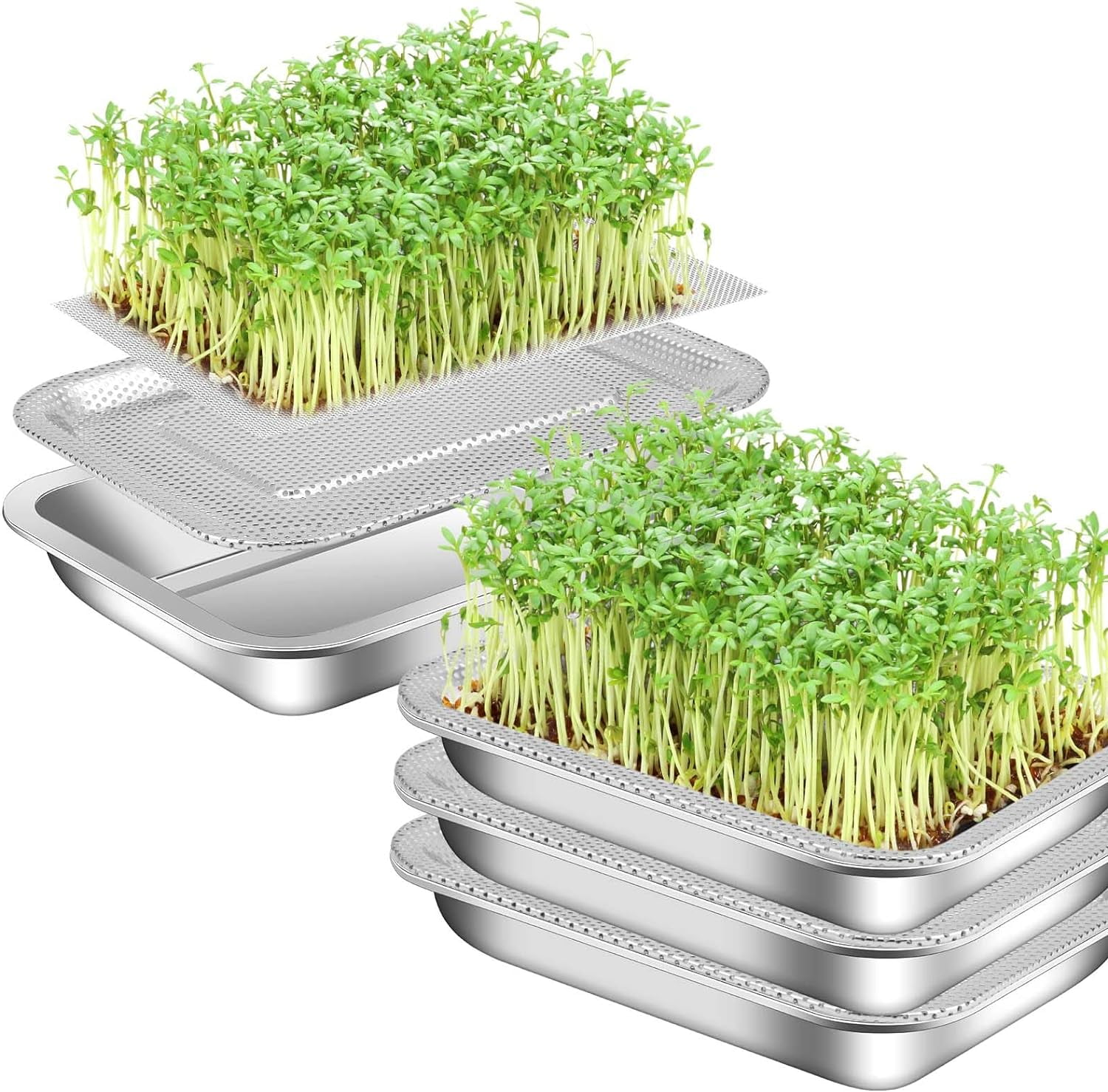 9 Pcs Spring Stainless Steel Seed Sprouting Kit, Seed Sprouter Tray ...