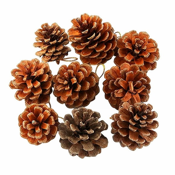 Scented Pine Cones