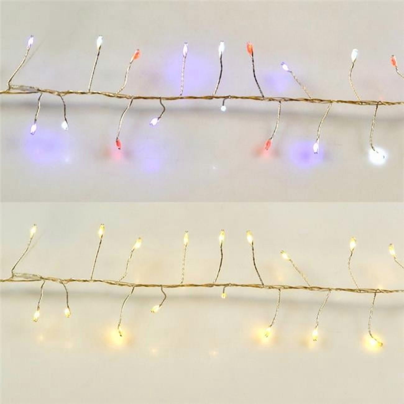 9 ft. 150 LED Big Seed Cluster Light Set, Multi Color - Pack of 12 ...