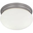 9 in 2-Light Flush Mount Ceiling Light with Frosted Glass Shade, Pewter ...