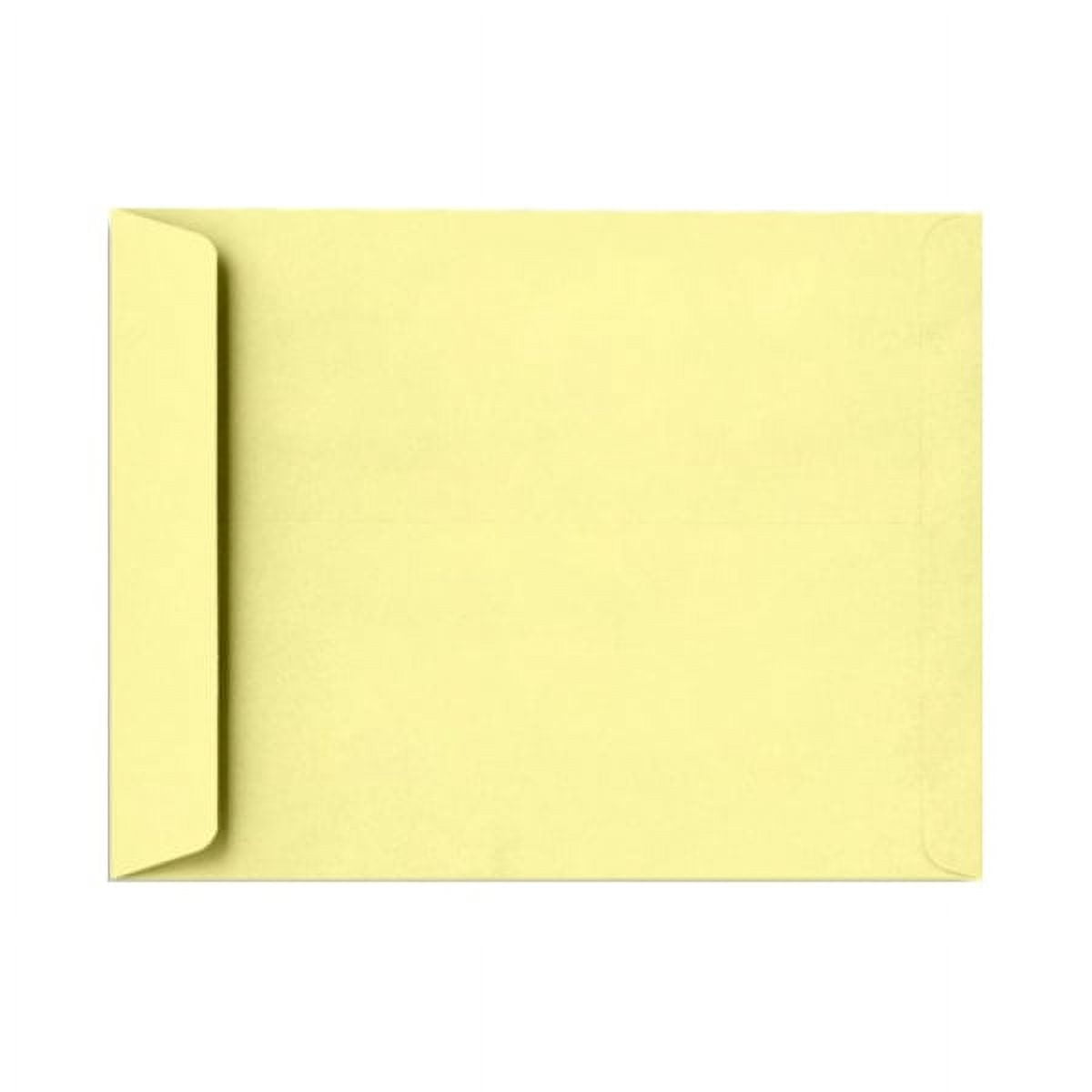 9 x 12 Open End Envelopes - Lemonade (250 Qty.) - Walmart.com