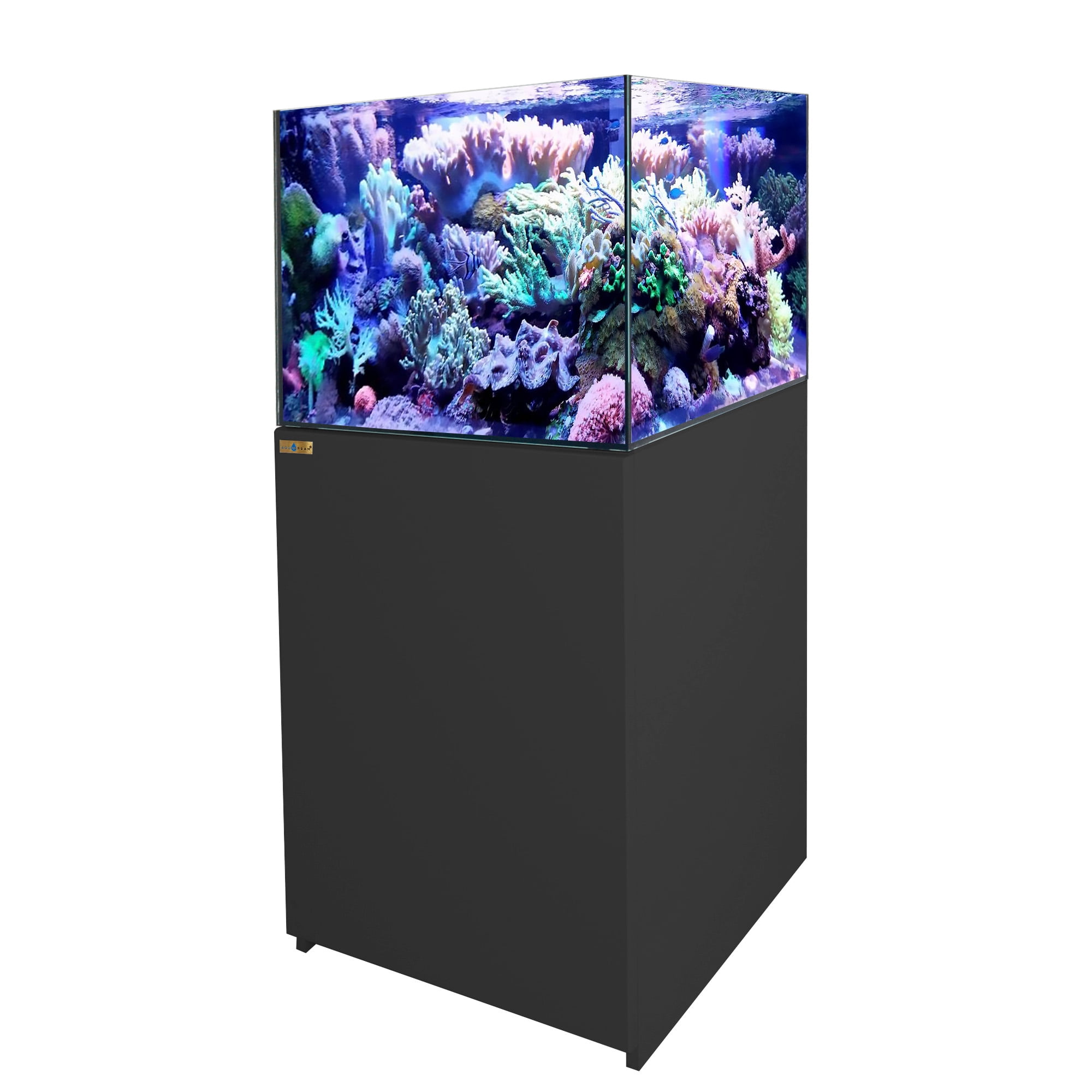 90 Gallon Coral Reef Aquarium Ultra Clear Glass Tank & Built in Sump ...