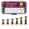 90 Sets Bronze Chicago Screws Leather Assorted Kit ，6 Sizes of Screw ...