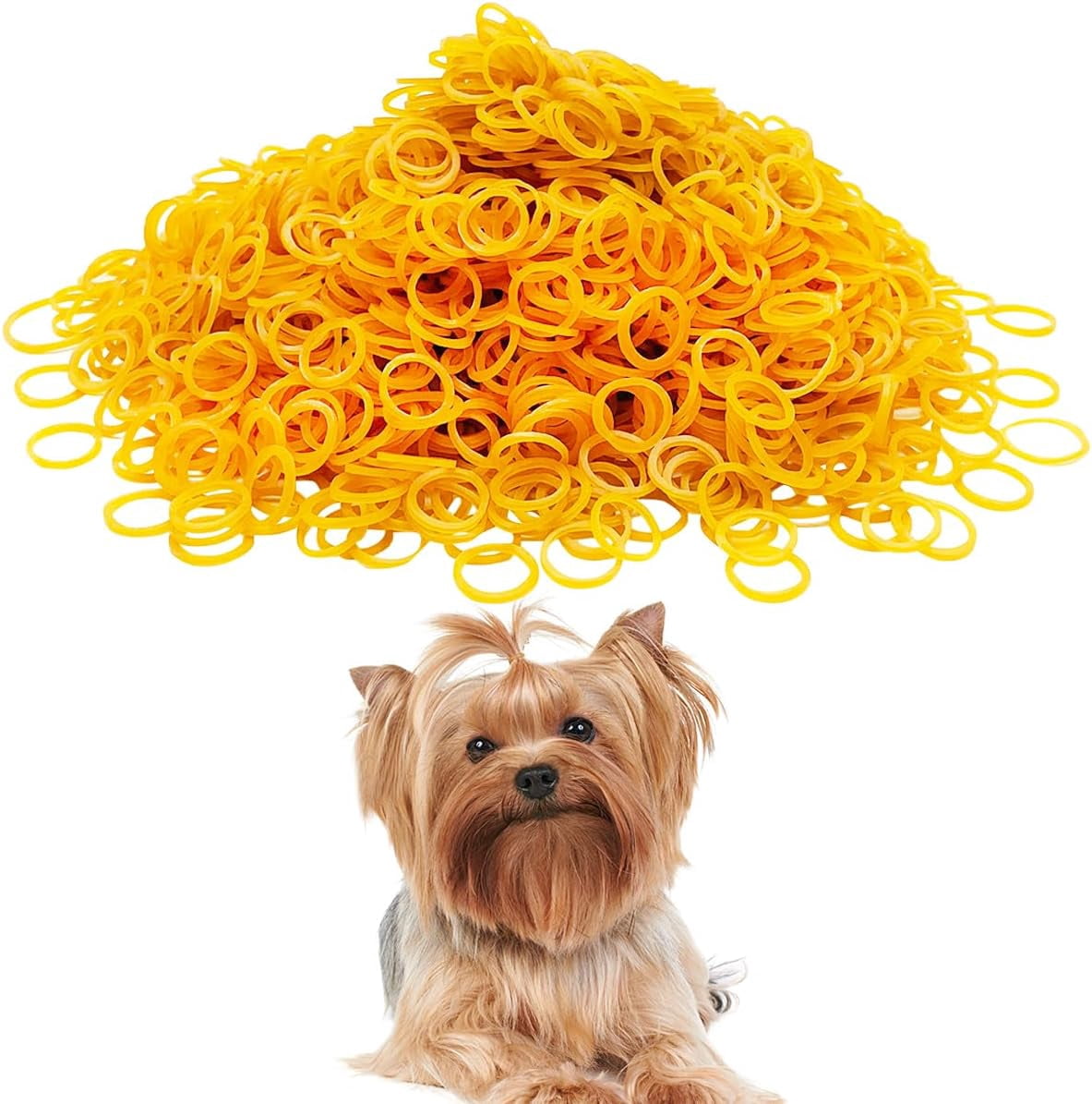 900pcs 15MM Dia. 100G/Pack Bulk Dog Rubber Bands for Hair Grooming DIY ...