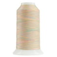 Omni Variegated Polyester Thread 40wt 2000yd Fairy Floss - Walmart.com