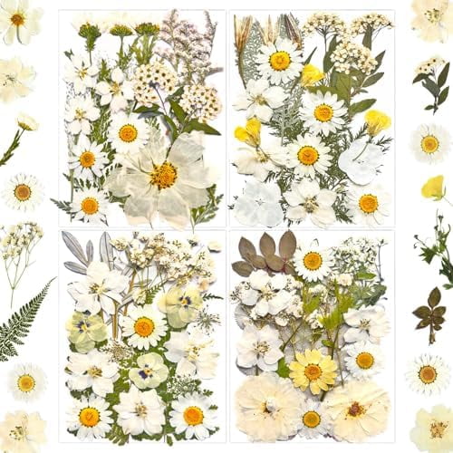 90Pcs White Dried Pressed Flowers for Resin Molds, Real Natural Bulk ...