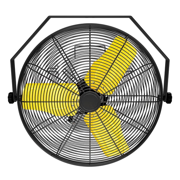 24 Fan