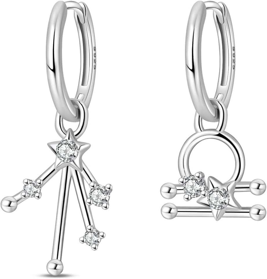 925 Sterling Silver Zodiac 12 Constellation Astrology Dangle Earrings ...