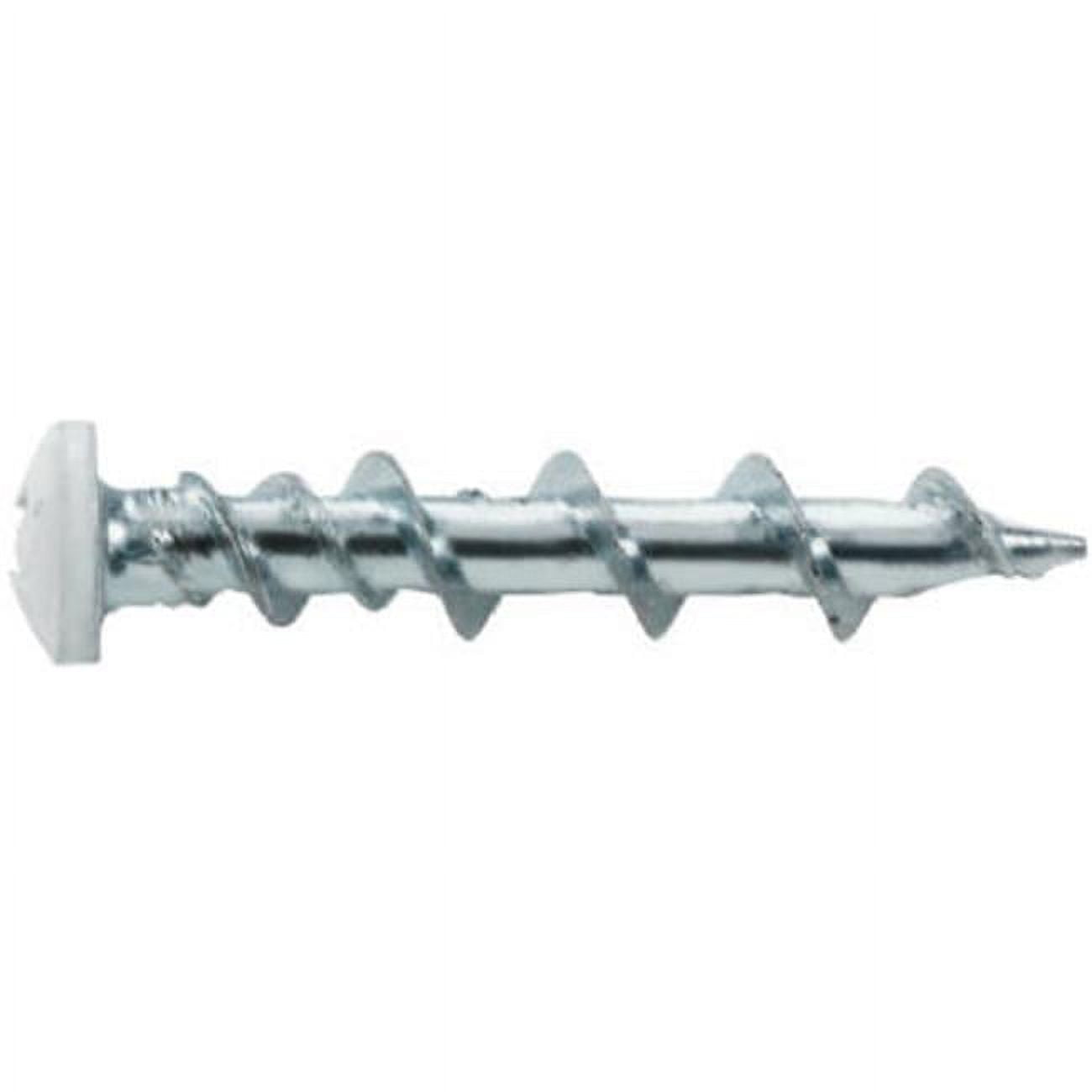 9523 1.25 in. White Oval Head Wall Dogs & Stainless Steel Screws - 4 ...