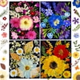 95Pcs Pressed Dried Flowers for Resin Molds, Real Natural Bulk Dry ...