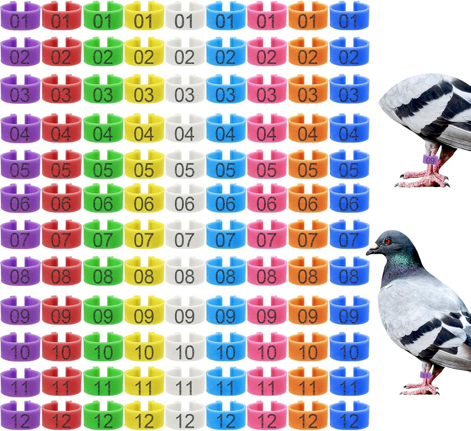 96 8-color Chicken Leg Rings, 16mm Color Coded Chicken Identification ...
