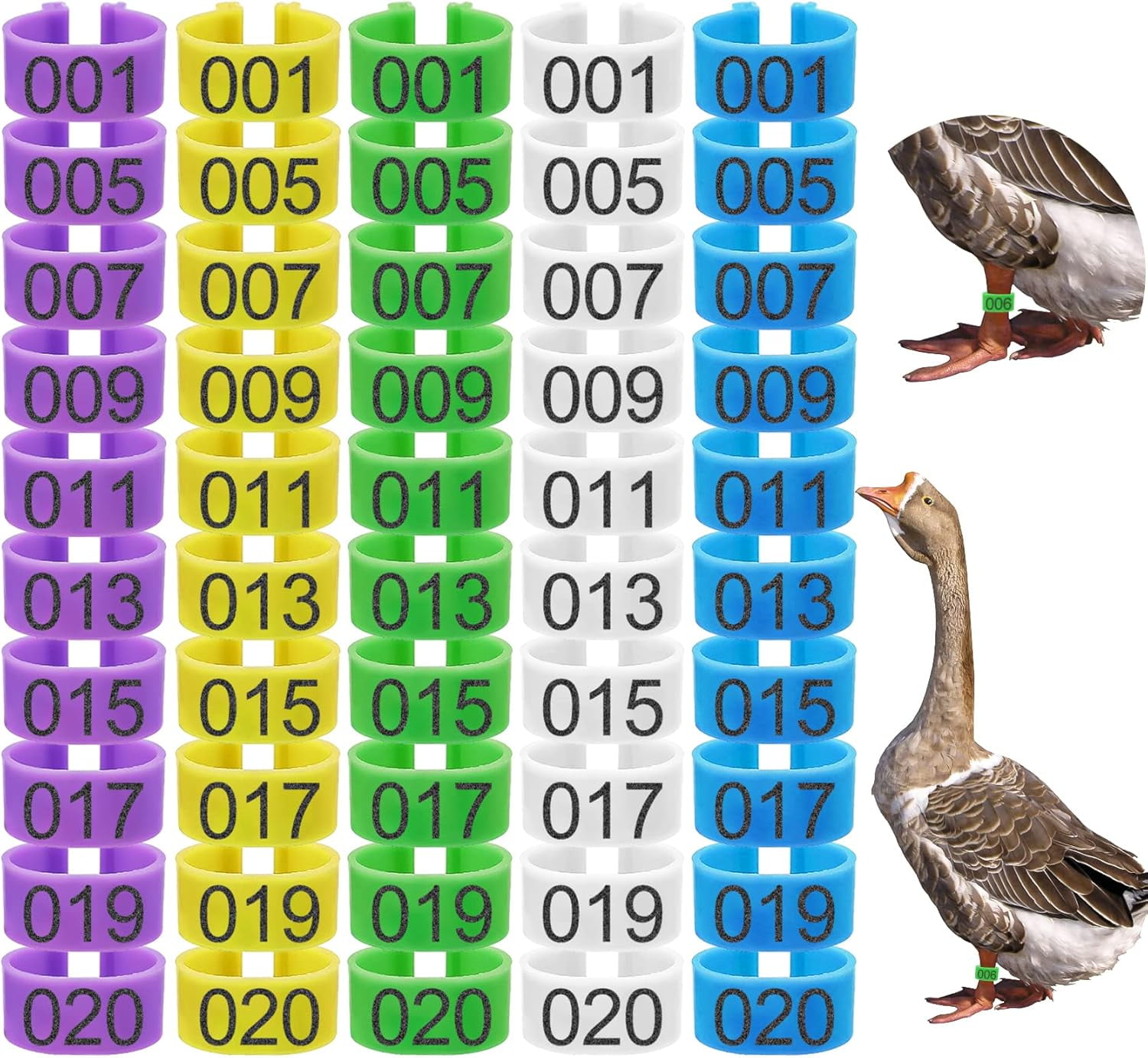 96 8-color Chicken Leg Rings, 16mm Color Coded Chicken Identification ...