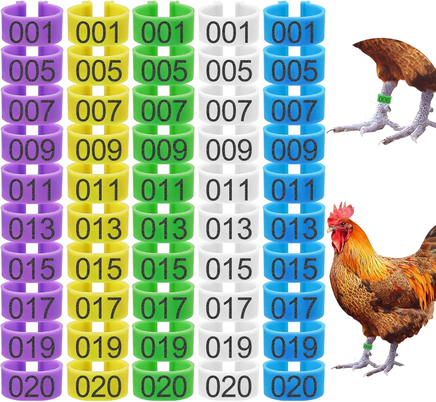96 8-color Chicken Leg Rings, 16mm Color Coded Chicken Identification ...